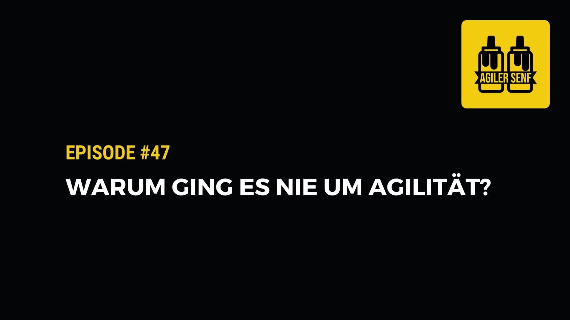 #47: Stefan Willuda — Warum ging es nie um Agilität?